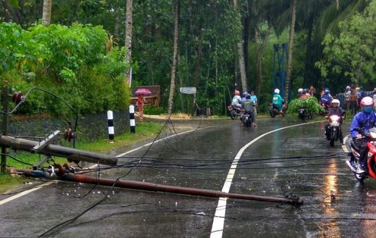 Puting Beliung Tumbangkan Pohon dan Tiang Listrik - Pacitanku