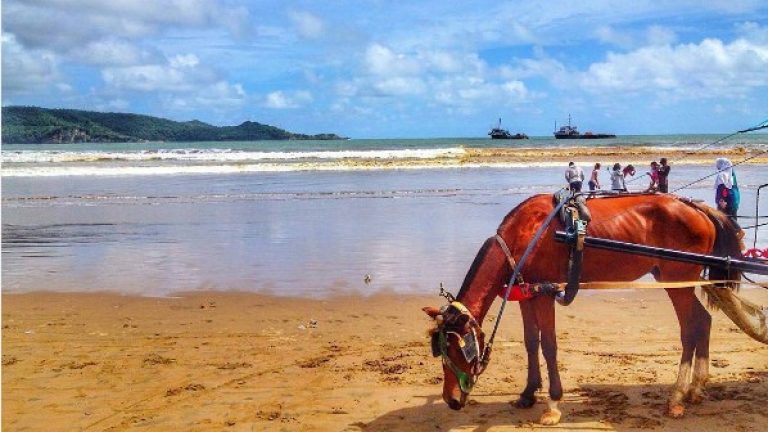 Top 13 Pantai Keren di Pacitan - Pacitanku