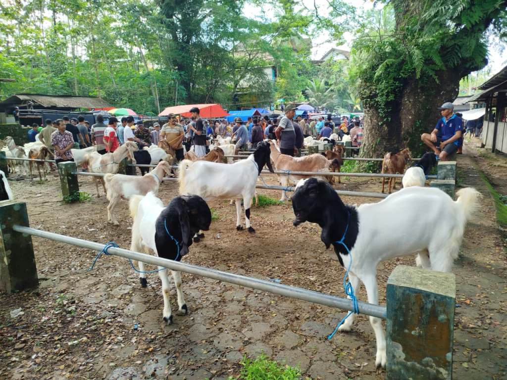 Pasar Kambing Tulakan | Pacitanku